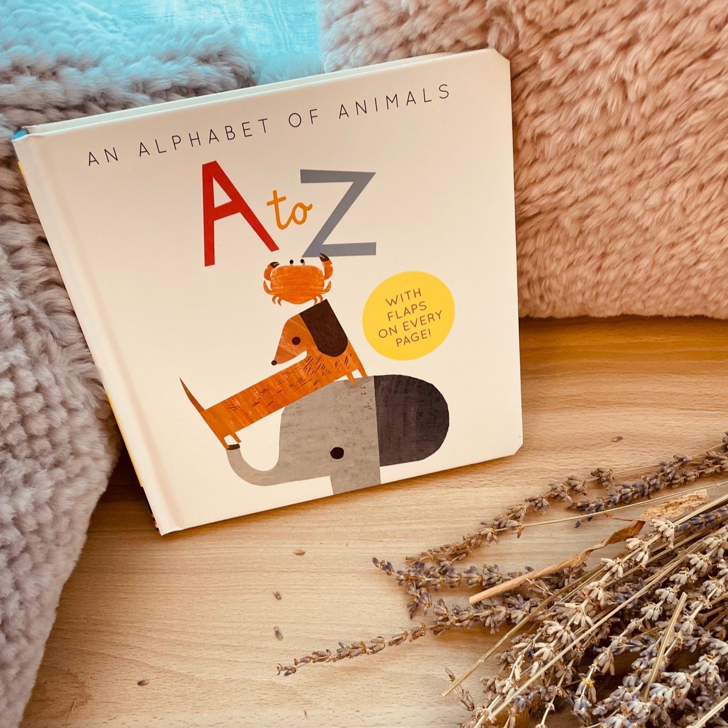 Children Book | A to Z : An Alphabet of Animals – A Hopping Bunny