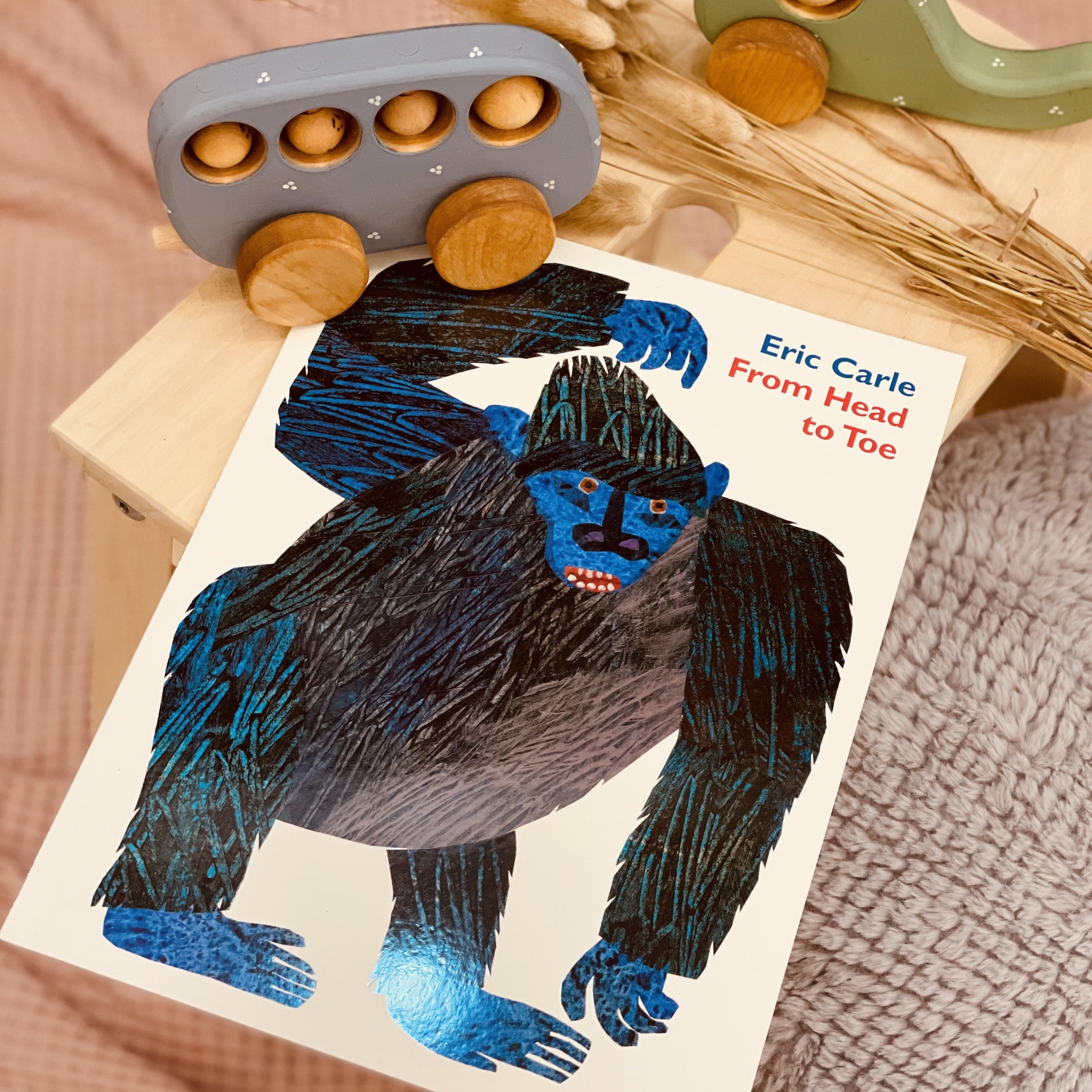 From Head To Toe Book